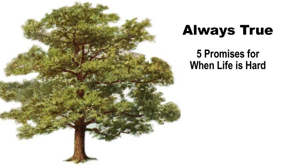 Always True - Bible Baptist Church